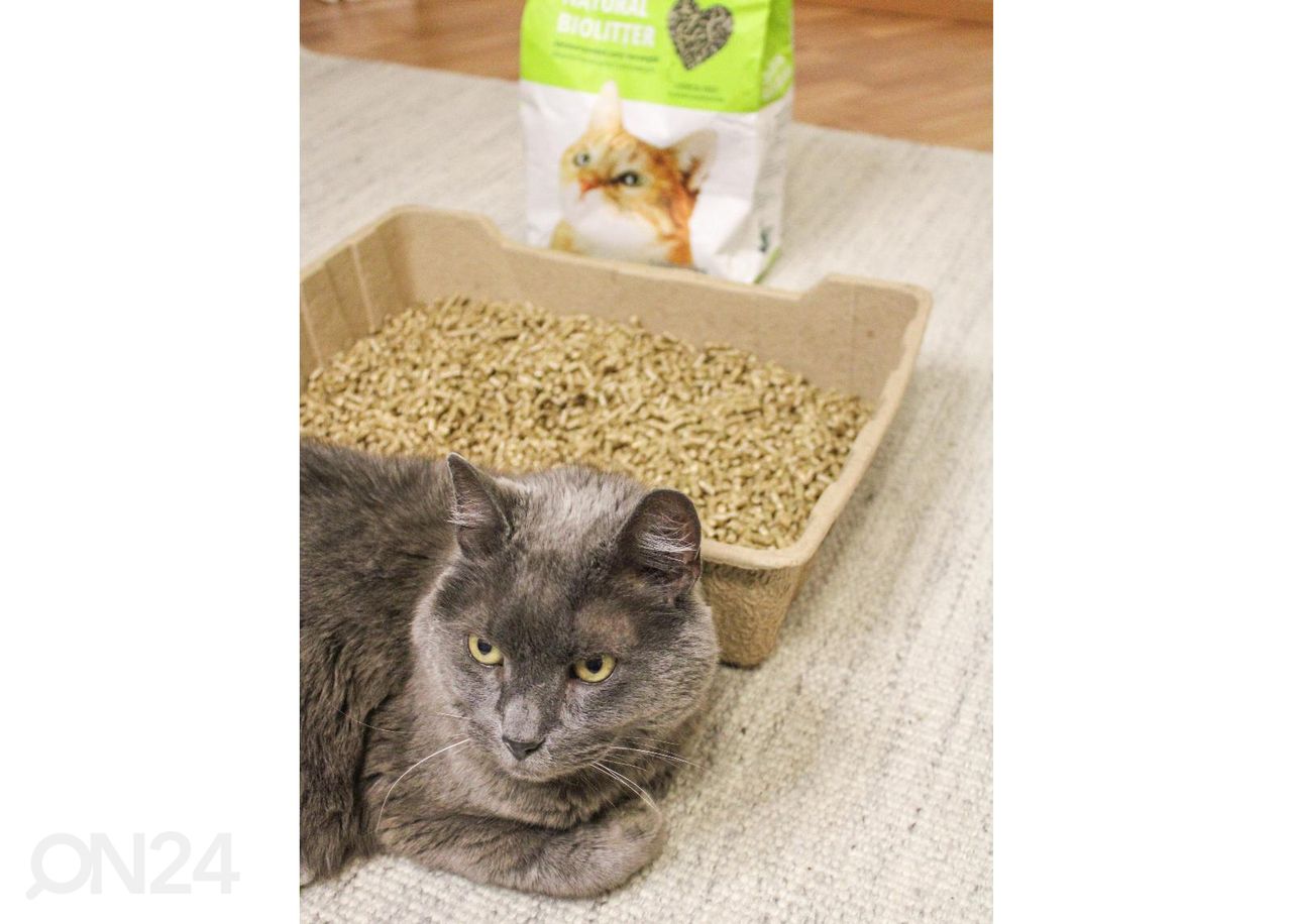 Kassiliiv, 5 kg TN-452977 - ON24 Home & Living