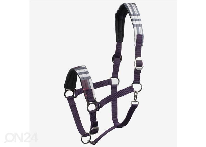 Hobuse päitsed nevada x-full tumelilla M2-307356 - ON24.ee ...