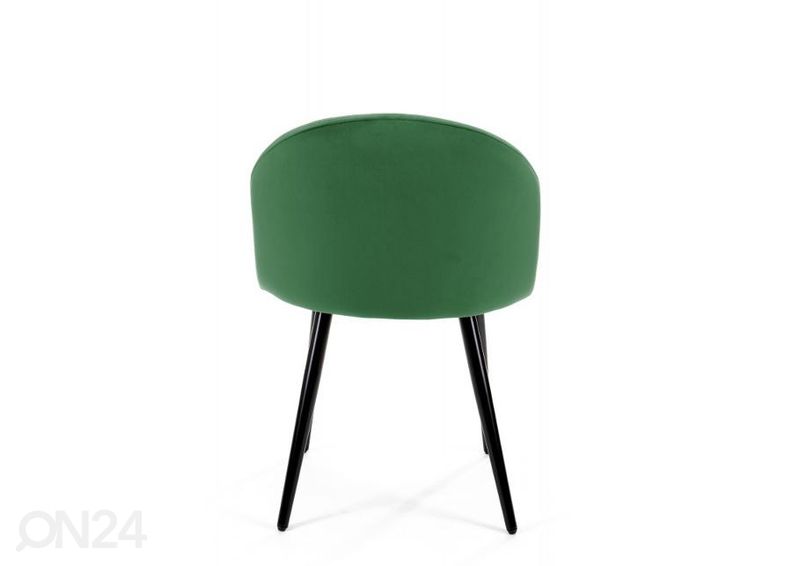 Tool, roheline AS-414231 - ON24 Home & Living